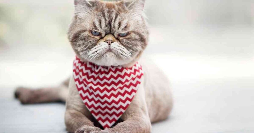 5 Tips How to Write an Angry Email to Your Boss Without Sounding Like a ...