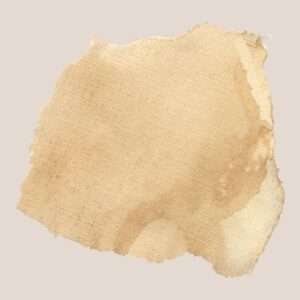 The Rich History of Paper | PublishingState.com